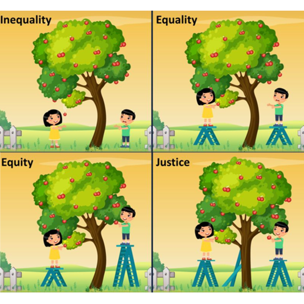 Gelijkheid vs. Gelijkwaardigheid - Violet D&I - Inclusie